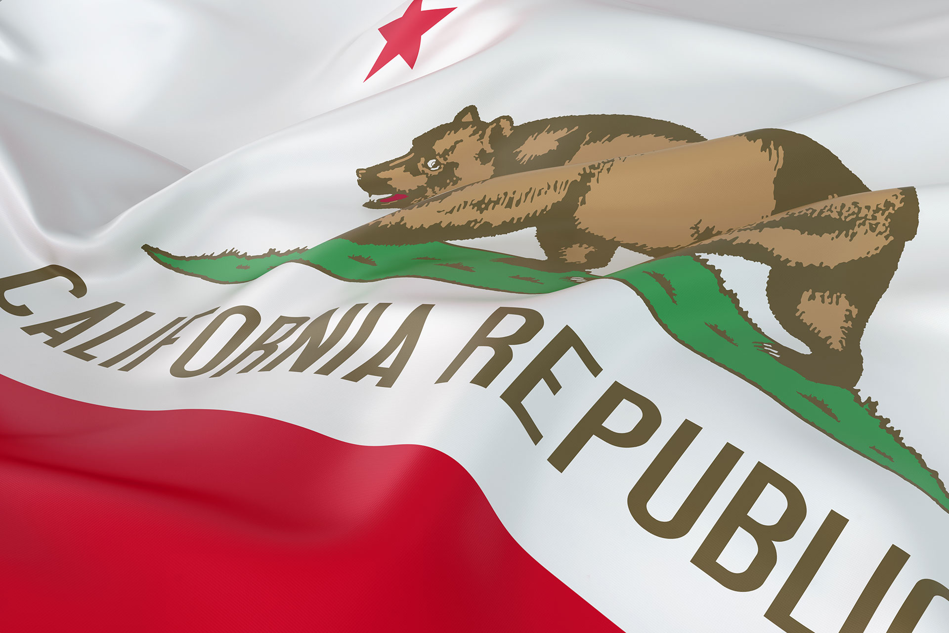 Statewide Chapter - Peace Officers Research Association of California