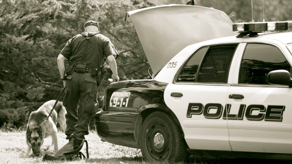 People v. Castro California’s Only Marijuana Vehicle Search Case of ...