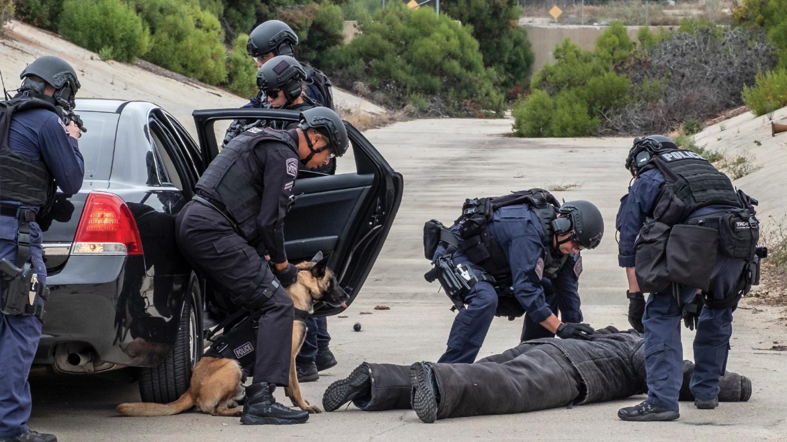 To Protect, Serve and Comfort: A Salute to K-9s - Peace Officers ...