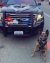 To Protect, Serve and Comfort: A Salute to K-9s - Peace Officers ...