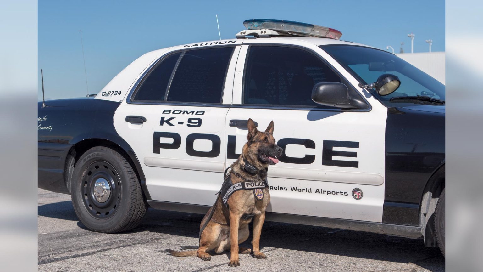 To Protect, Serve and Comfort: A Salute to K-9s - Peace Officers ...
