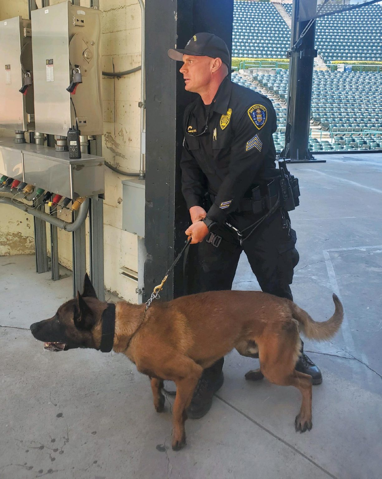 To Protect, Serve and Comfort: A Salute to K-9s - Peace Officers ...